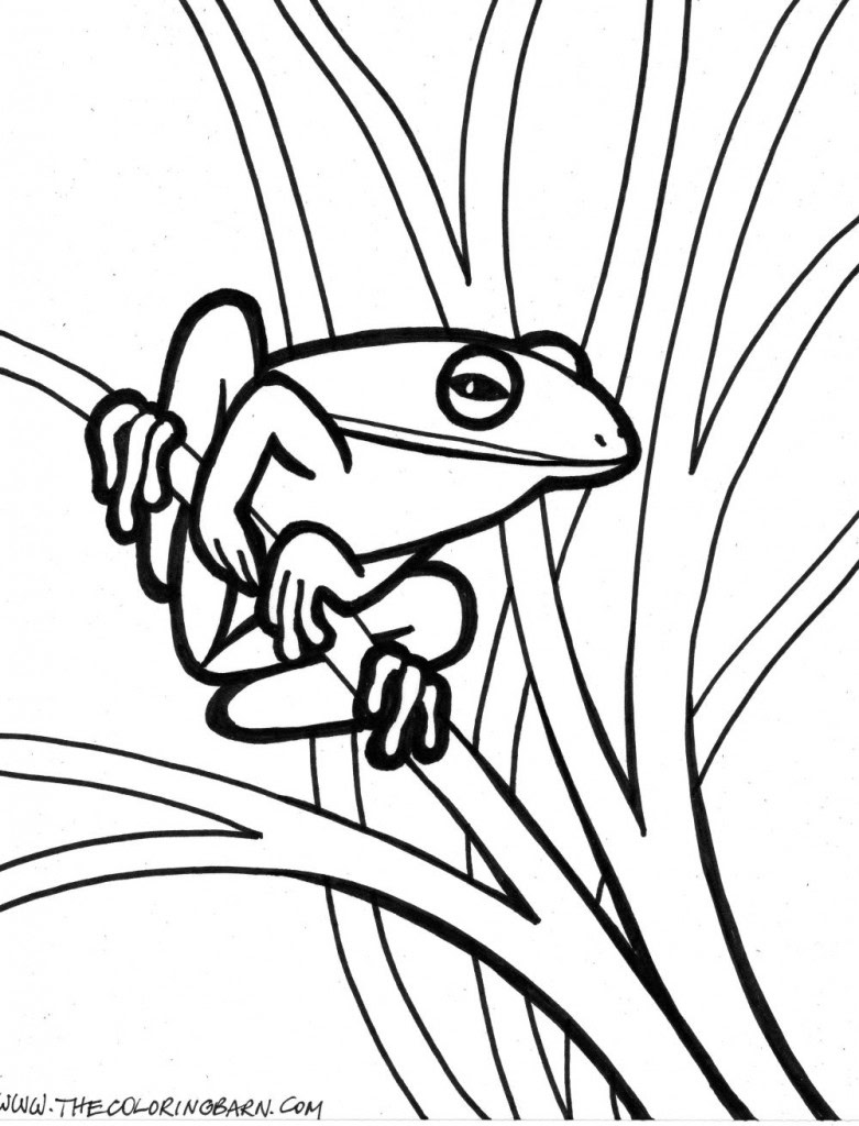 Jumping Frog Coloring Page - The Coloring Barn