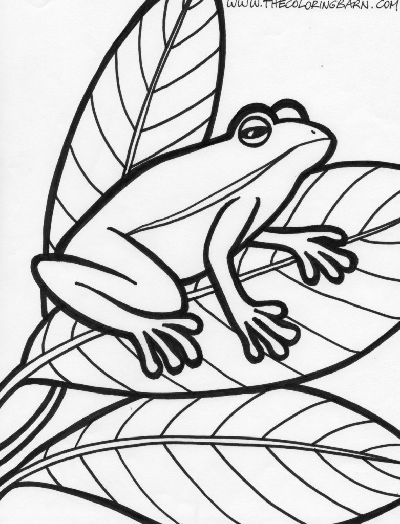 Sideways Frog Coloring Page - The Coloring Barn