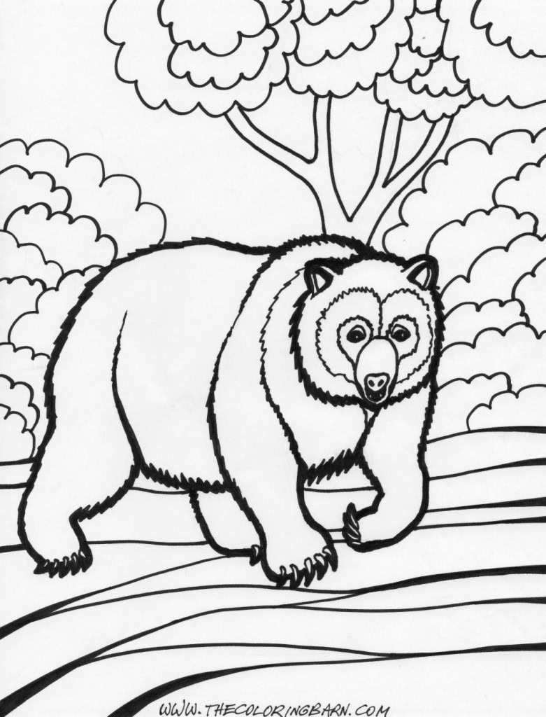 Bear Coloring Page - The Coloring Barn